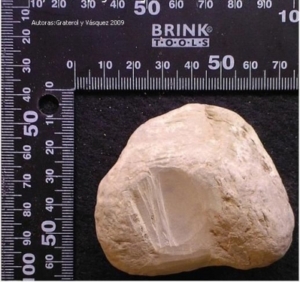 Roca Sedimentaria Lutita - Banco de imágenes - UMA Divulga