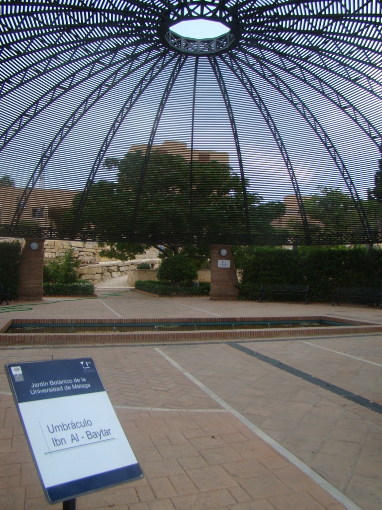 Umbráculo - Banco de imágenes - UMA Divulga