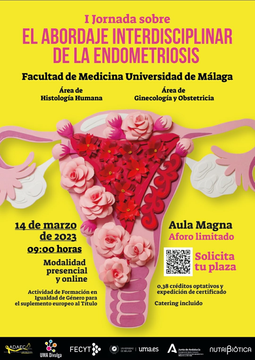 I Jornada sobre el abordaje interdisciplinar en la endometriosis